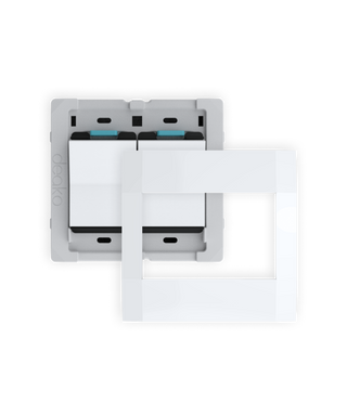 Quick Wire Connector (Backplate) & Faceplate with Single-Pole Simple R ...